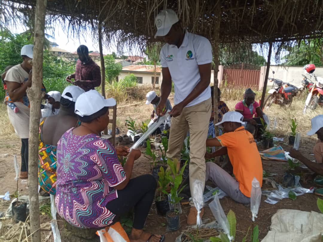 MB GREEN AGRO CONSULT - Championing Agribusiness